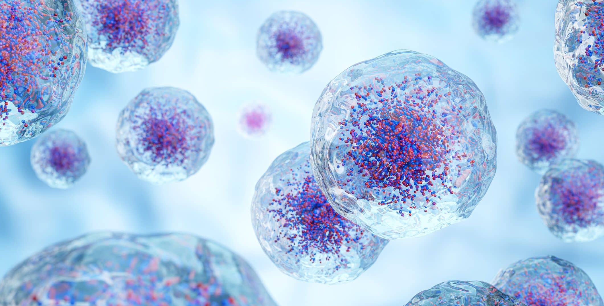 Stem Cell Therapy – BHWAA